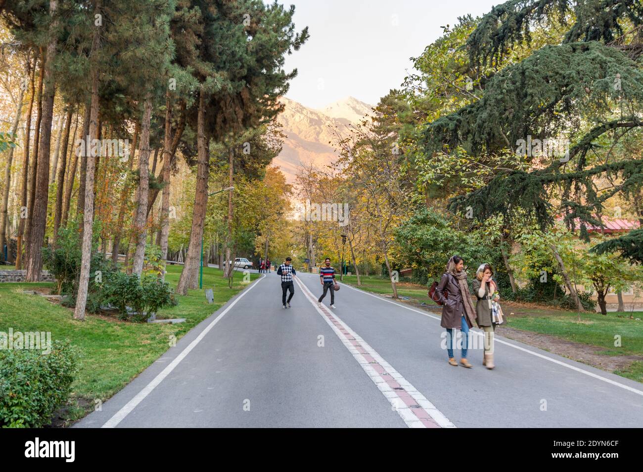 Iranian visitor walking in the park of Sa'dabad palace Complex in ...