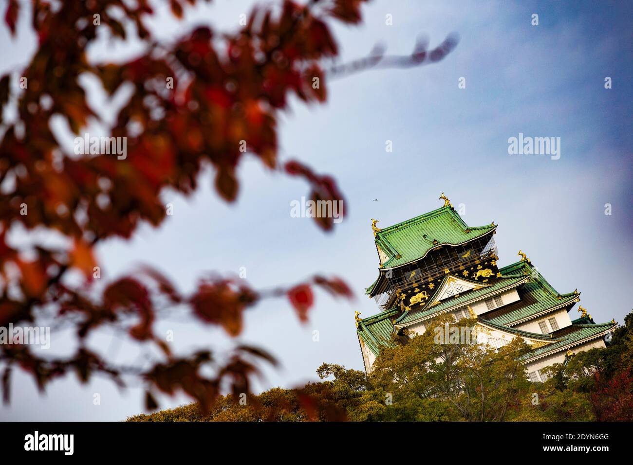 Red, yellow and orange cherry tree leaves frame Osaka Castle Stock ...