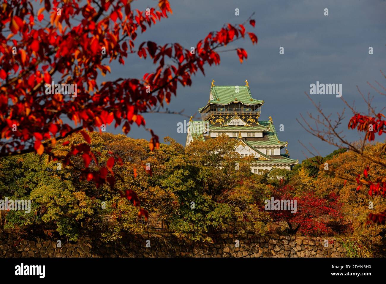 Red, yellow and orange cherry tree leaves frame Osaka Castle Stock ...