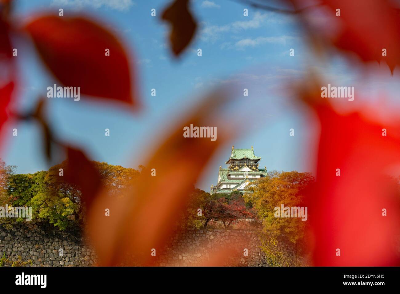 Red, yellow and orange cherry tree leaves frame Osaka Castle Stock ...