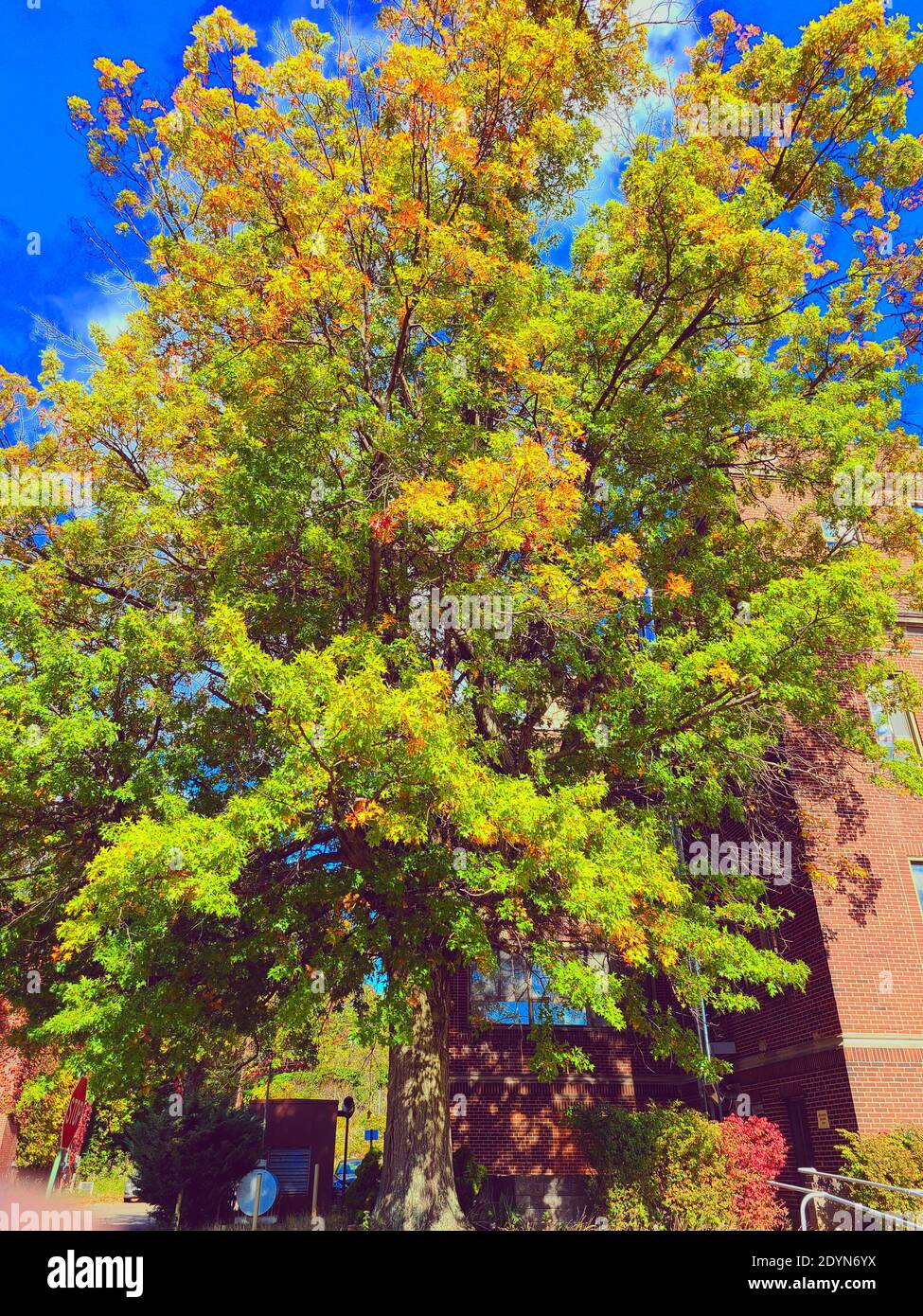 Homestead Hospital Pennsylvania Stock Photo - Alamy