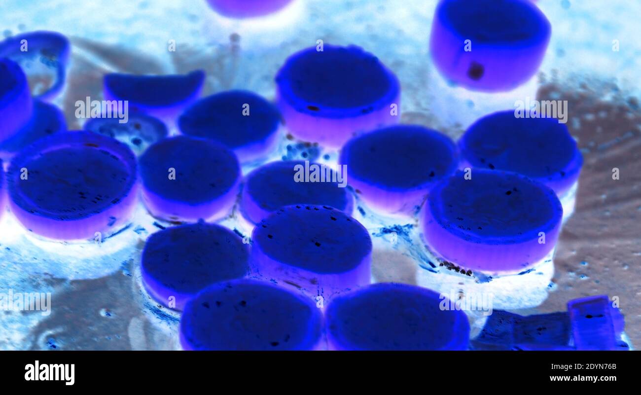 Blue rounds on a blue background Stock Photo - Alamy