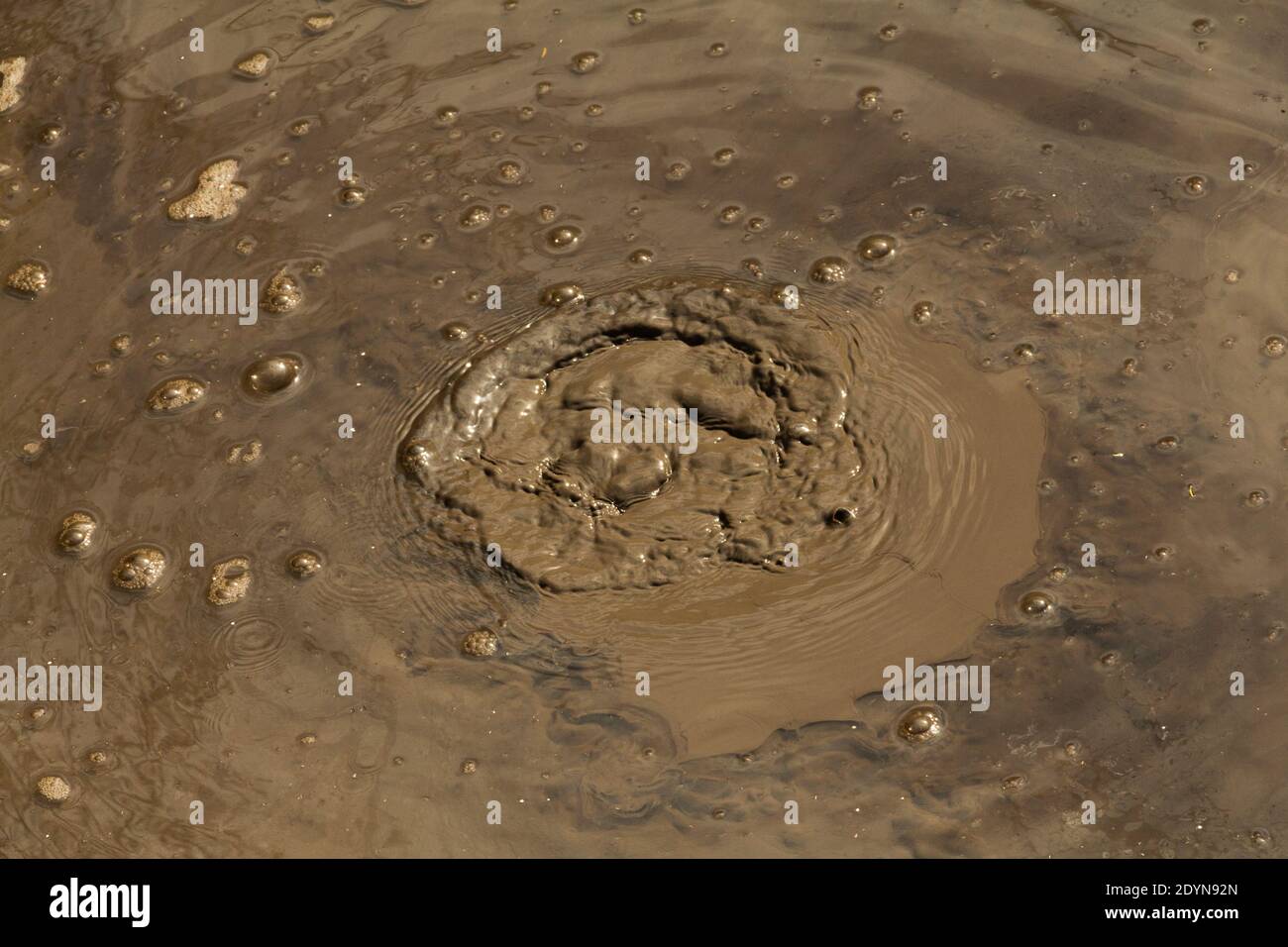 Boiling mud pool in Wai-O-Tapu thermal wonderland, Rotorua, North ...