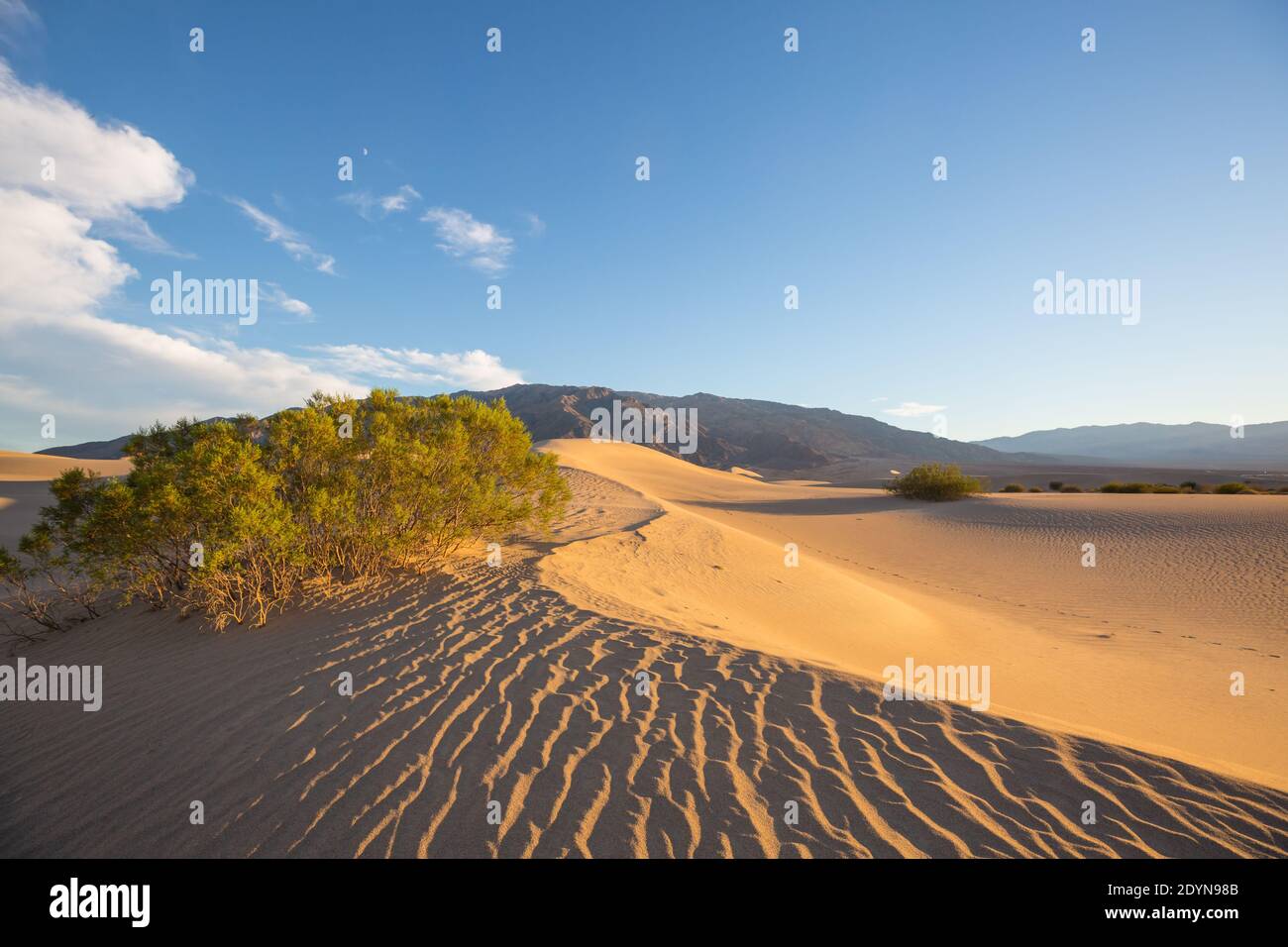 Sand dunes in California, USA. Beautiful nature landscapes travel ...