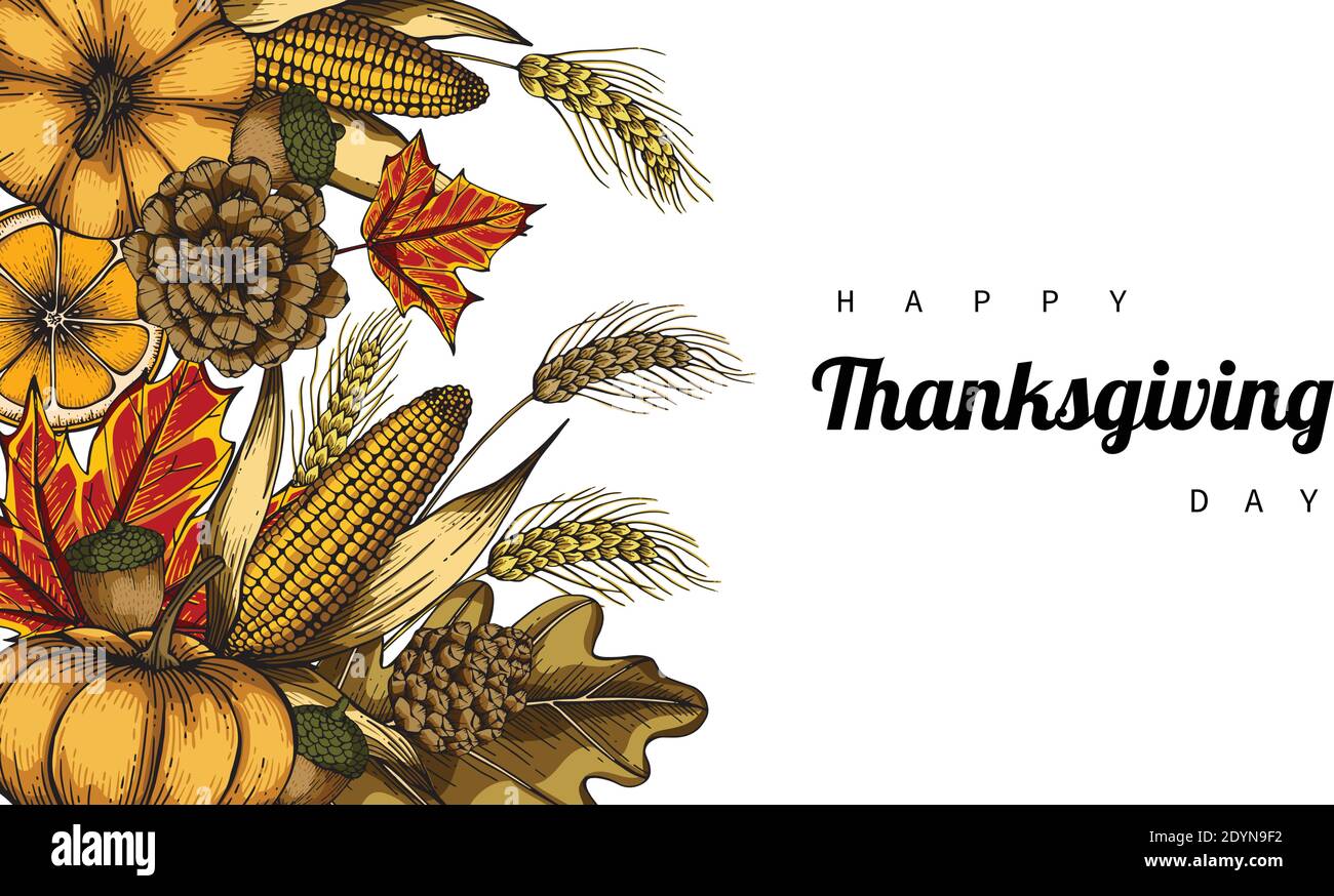Thanksgiving day backgrounds and greeting card with flower and leaf ...