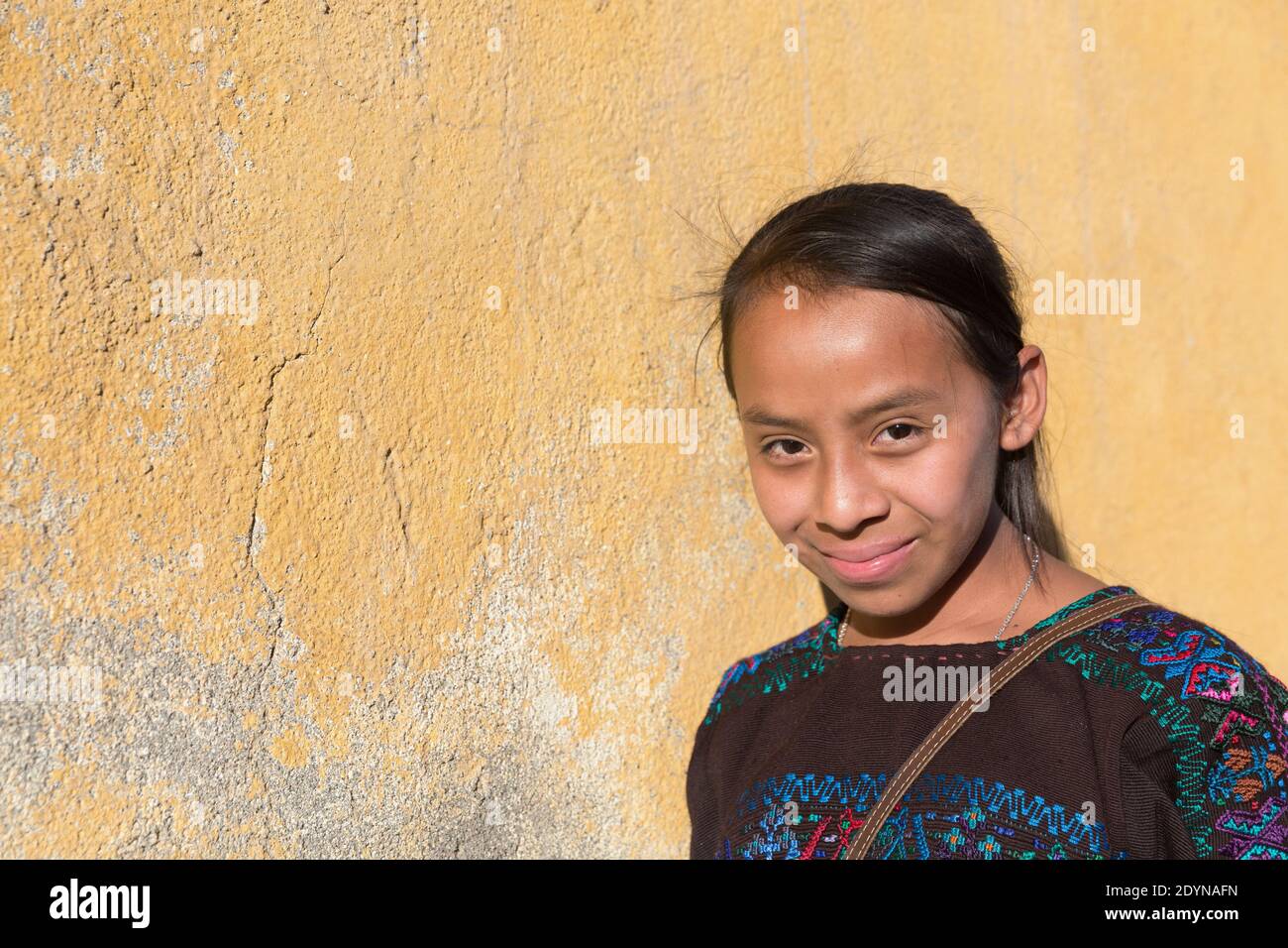 Long house indigenous america hi-res stock photography and images - Alamy