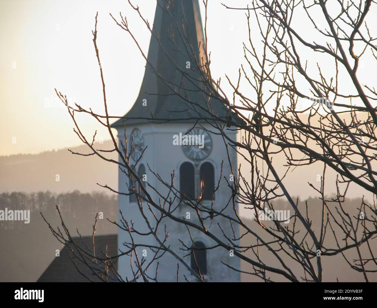 The branches of a tree with a clock tower of a church during suns Stock ...