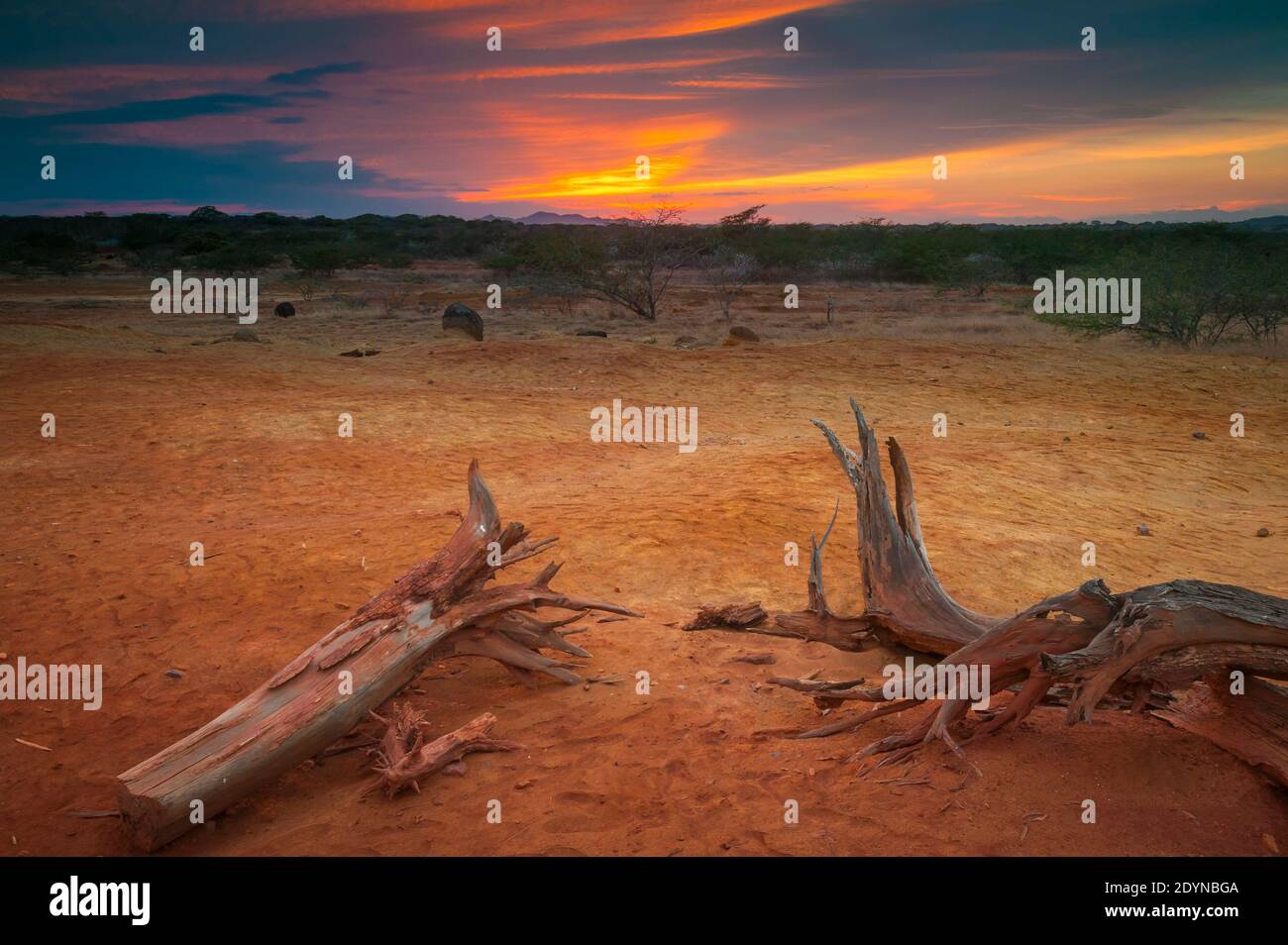 Parque nacional sarigua panama hi-res stock photography and images - Alamy