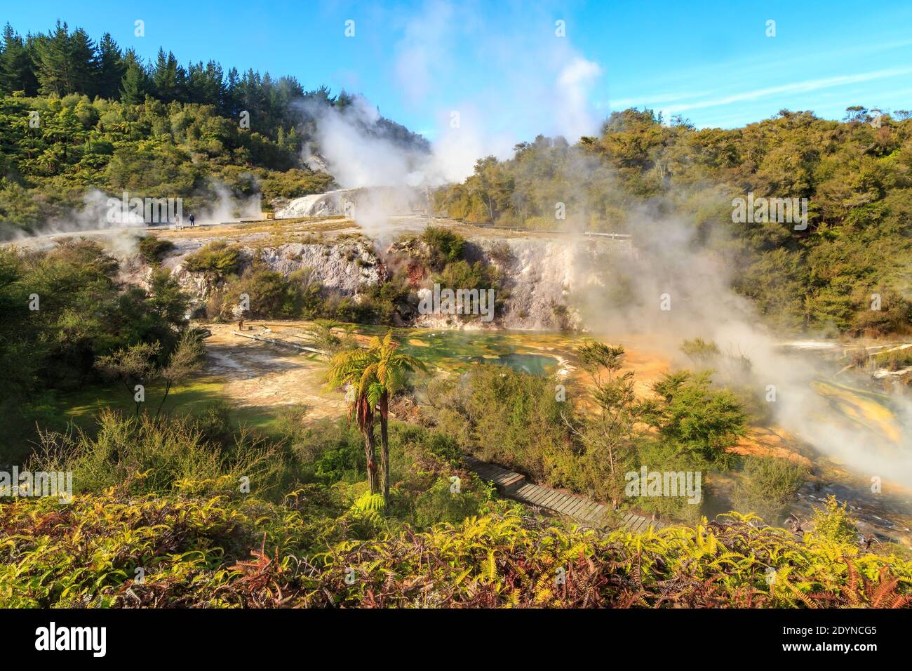 Orakei Korako High Resolution Stock Photography and Images - Alamy