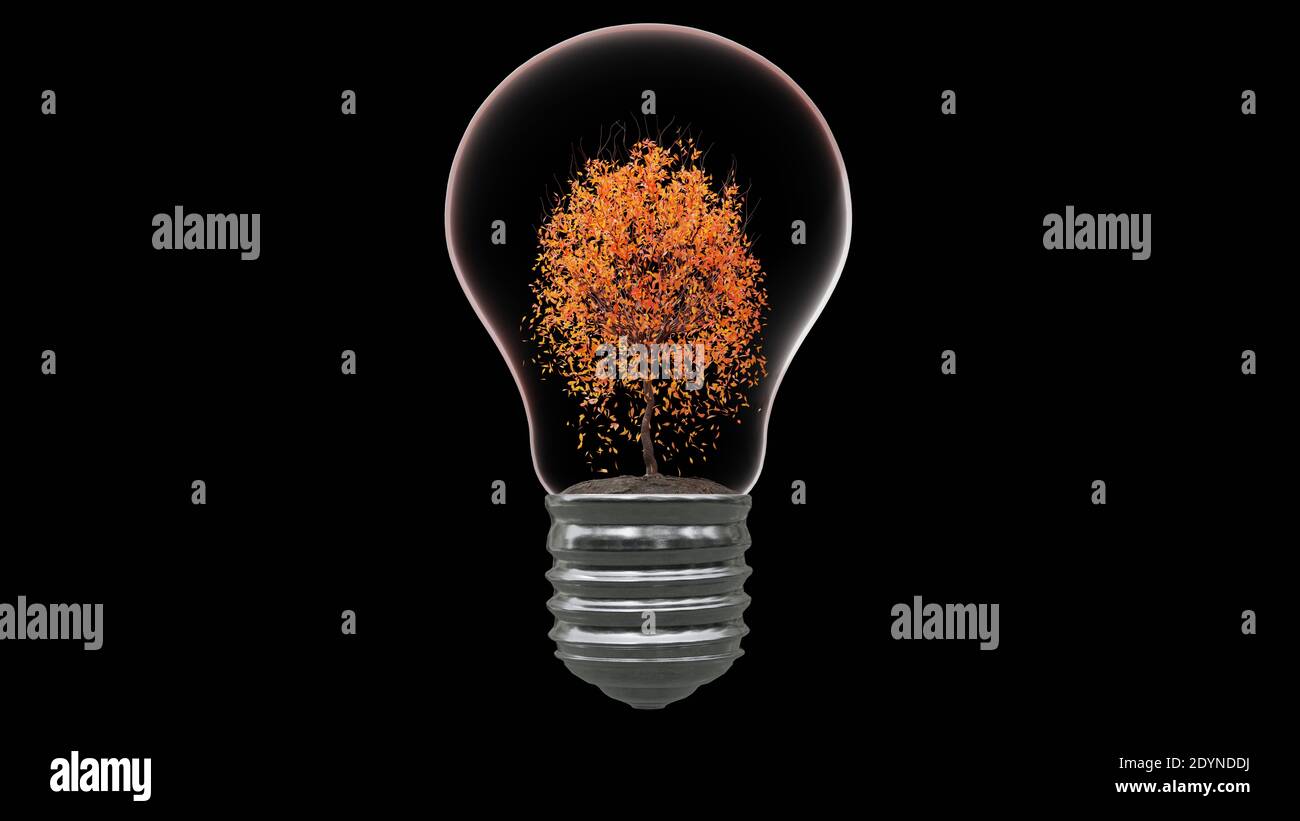 Light bulb with tree inside on black background. Green Energy Concept ...