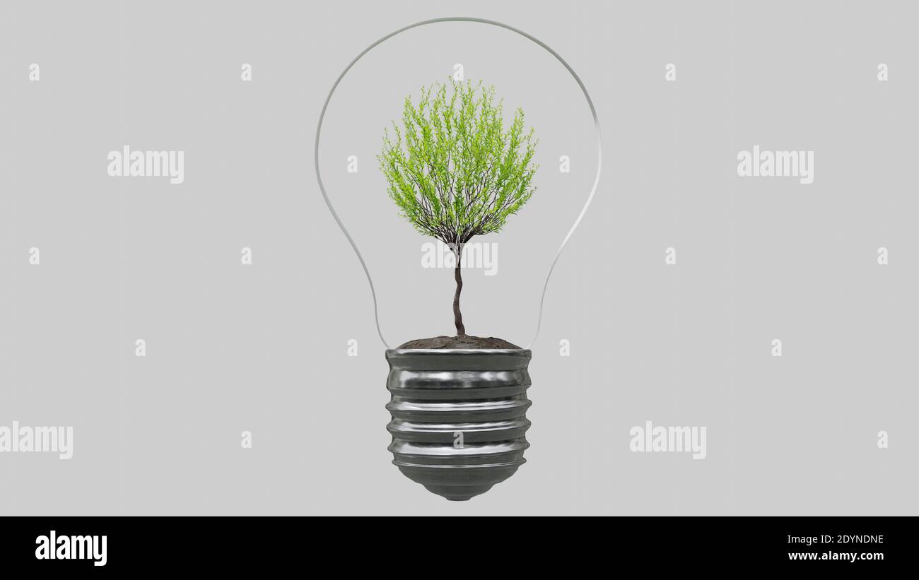 Light bulb with tree inside on white background. Green Energy Concept ...