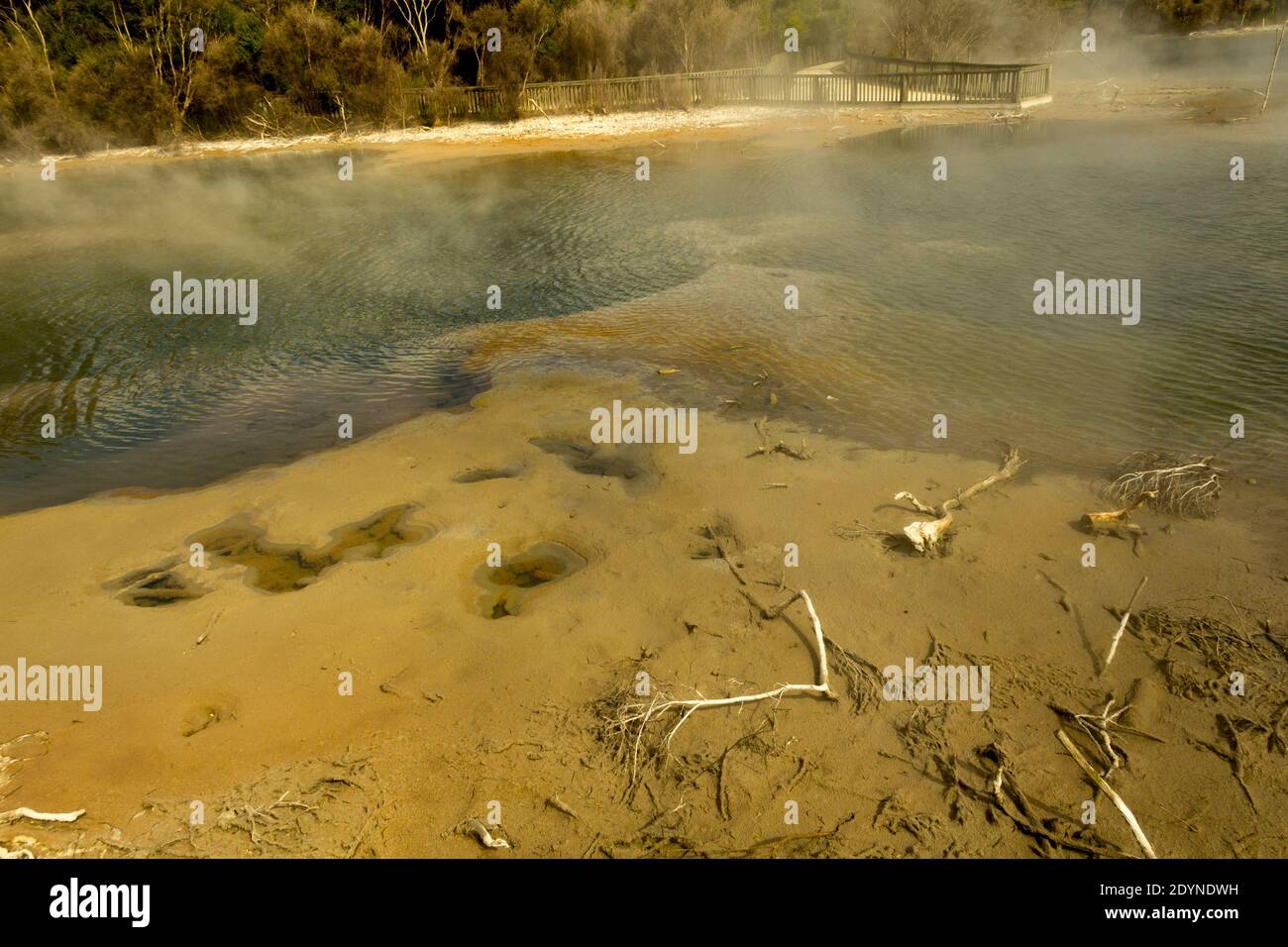 Geothermal lake with boiling mud pool in Wai-O-Tapu thermal wonderland ...