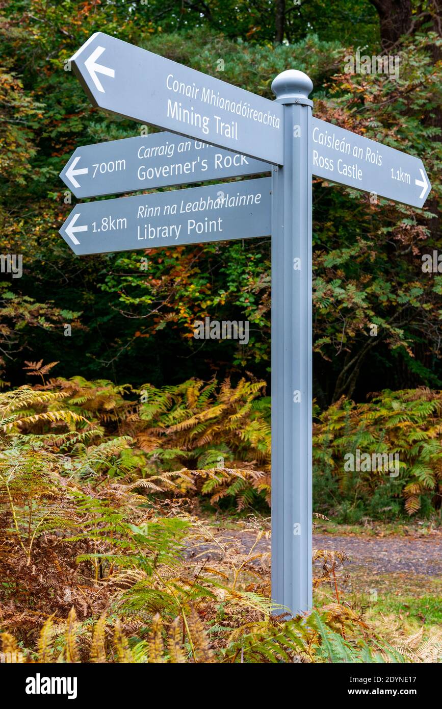 Library directional sign hi-res stock photography and images - Alamy