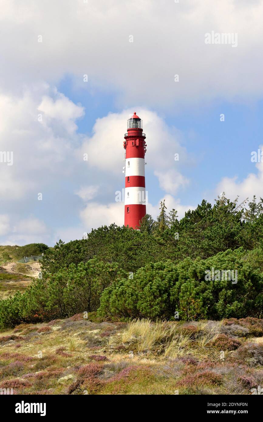Amrum lighthouse, Amrum, North Frisian Island, North Frisia, Schleswig ...