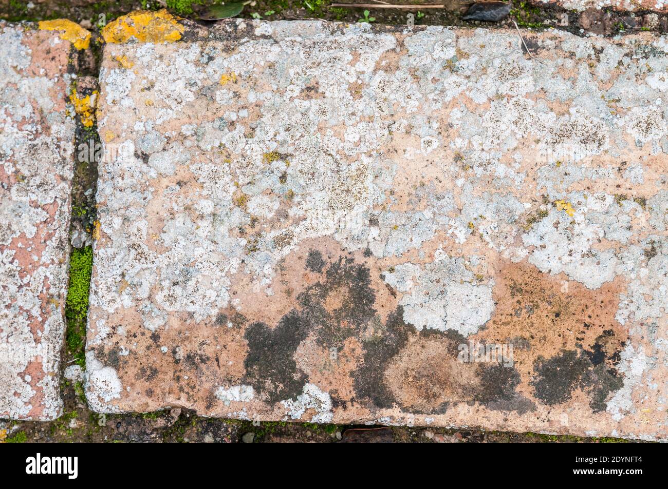 pottery tile located outside, floor, Catalonia, Spain Stock Photo - Alamy