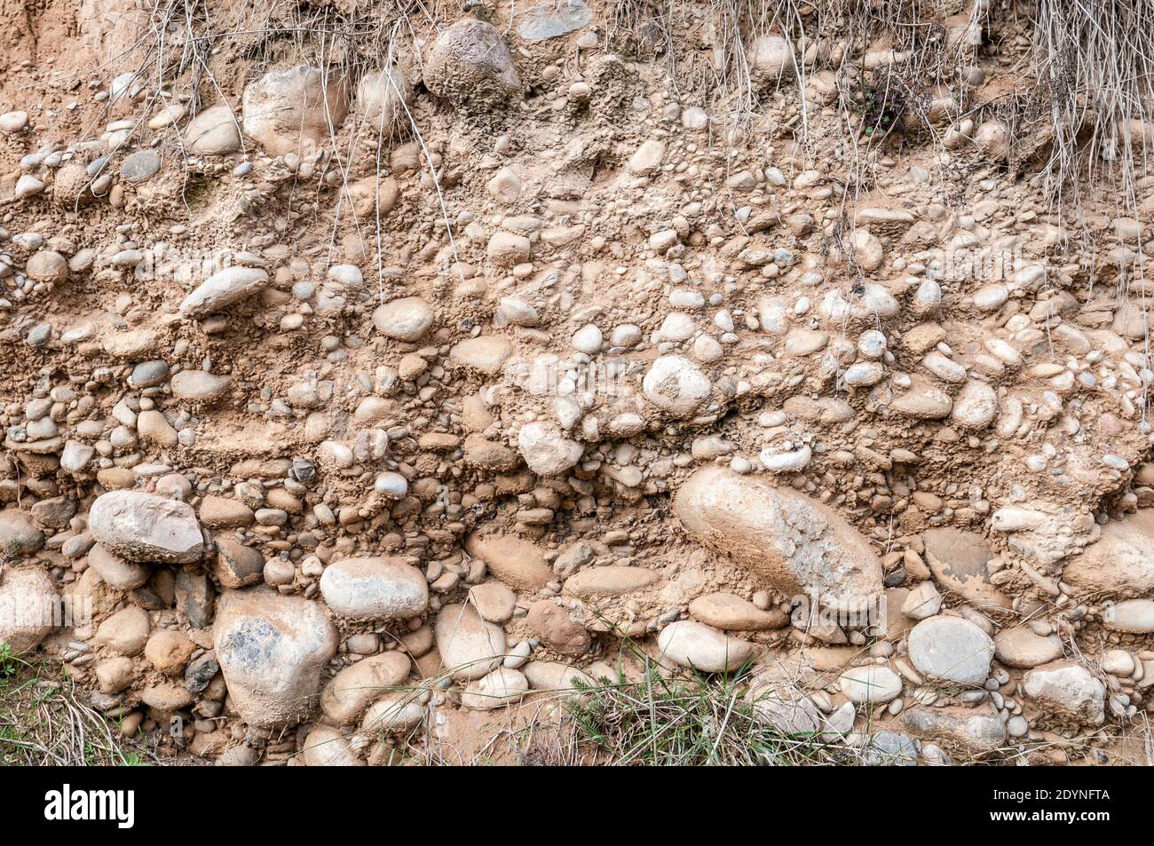 view of conglomerate, sedimentary rock, geology Stock Photo - Alamy