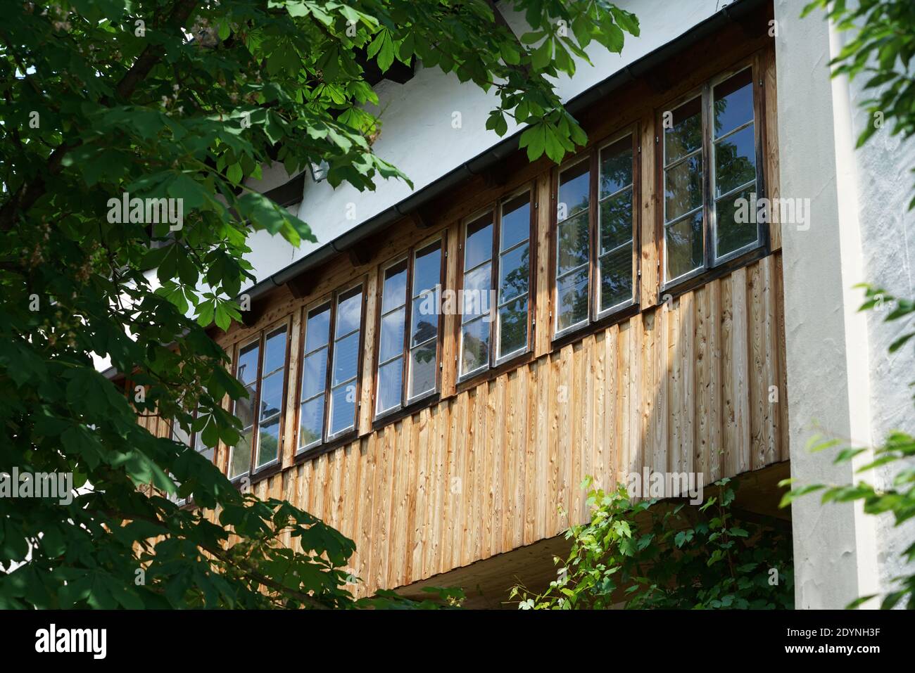 A low angle shot of a wooden cabin with windows surrounded by greenery ...