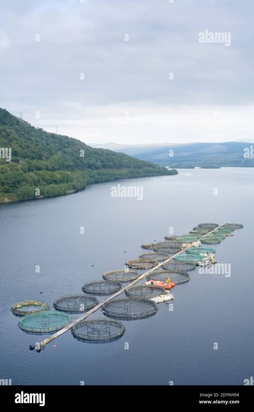 Loch awe farm hi-res stock photography and images - Alamy