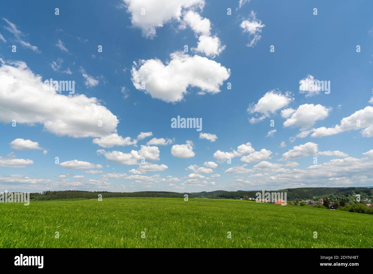 Beautiful rural scene: blue sky, white clouds, and green grass Stock ...