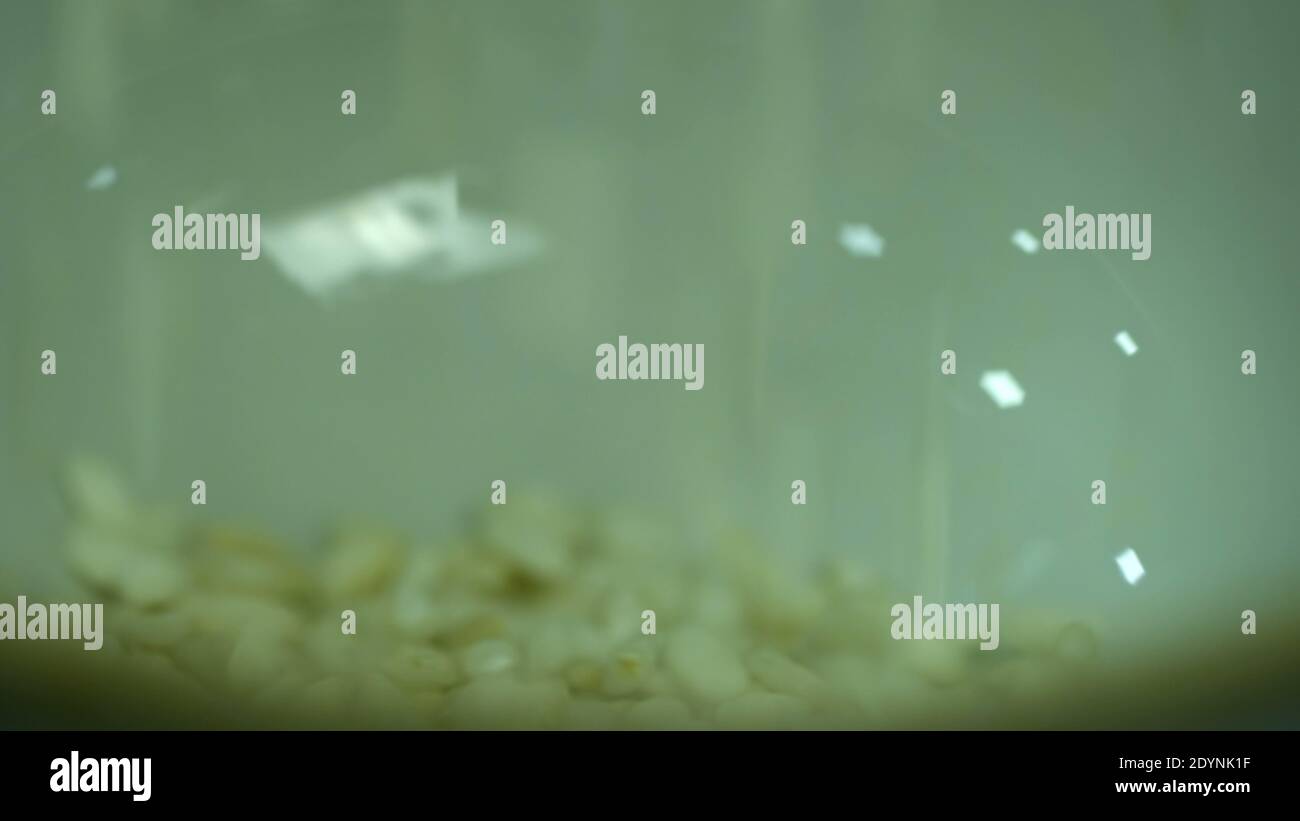 Falling Rice Into a Plate Stock Photo - Alamy