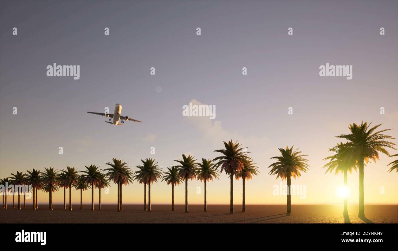 The plane flies over the avenue of palm trees 3d render Stock Photo - Alamy