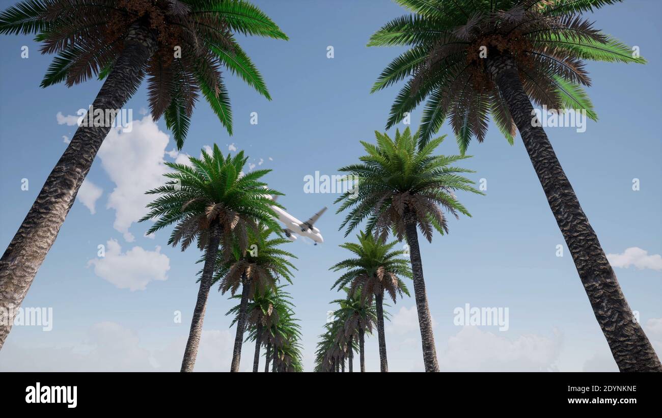 Plane over palm trees Airplane flight Landscape island Nature beach ...