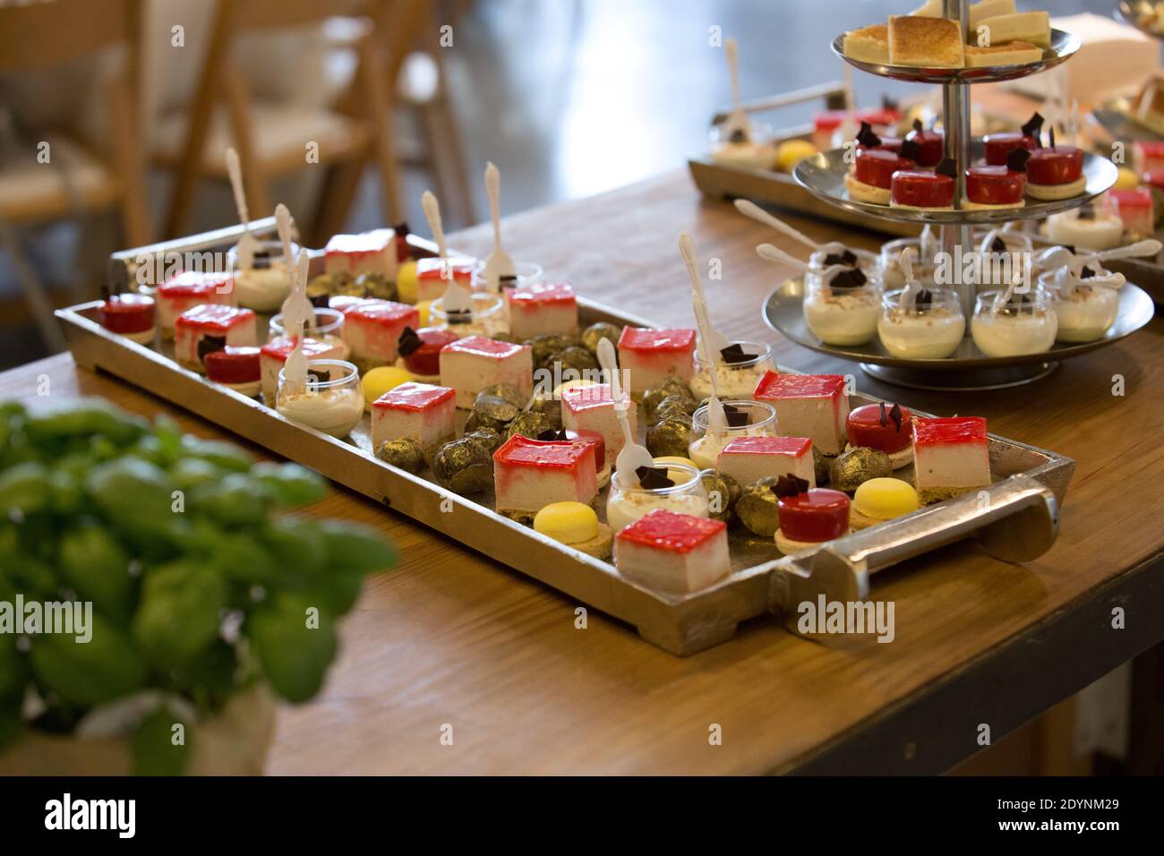 various Finger food desserts on display on a buffet table at a cocktail ...
