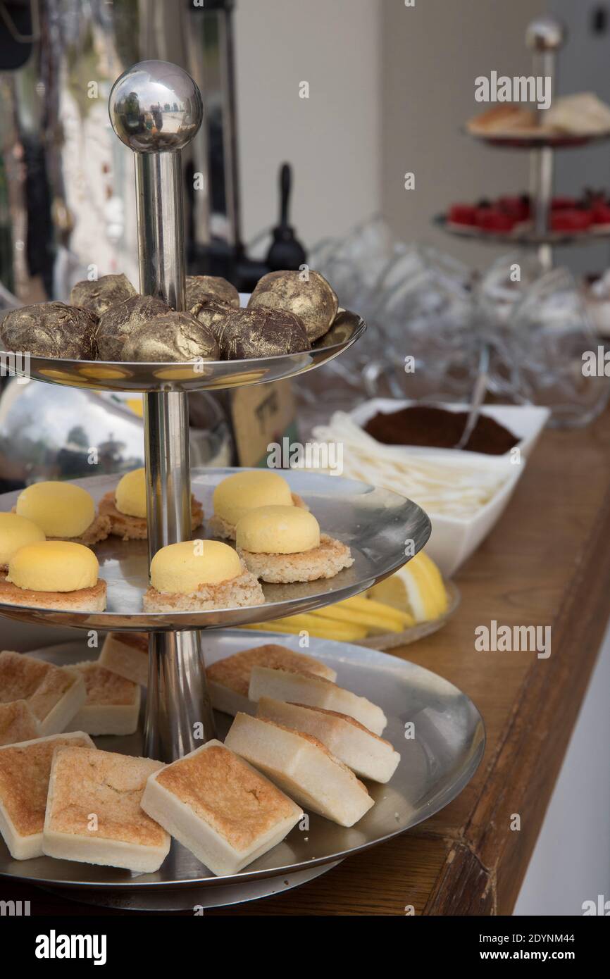 various Finger food desserts on display on a buffet table at a cocktail ...
