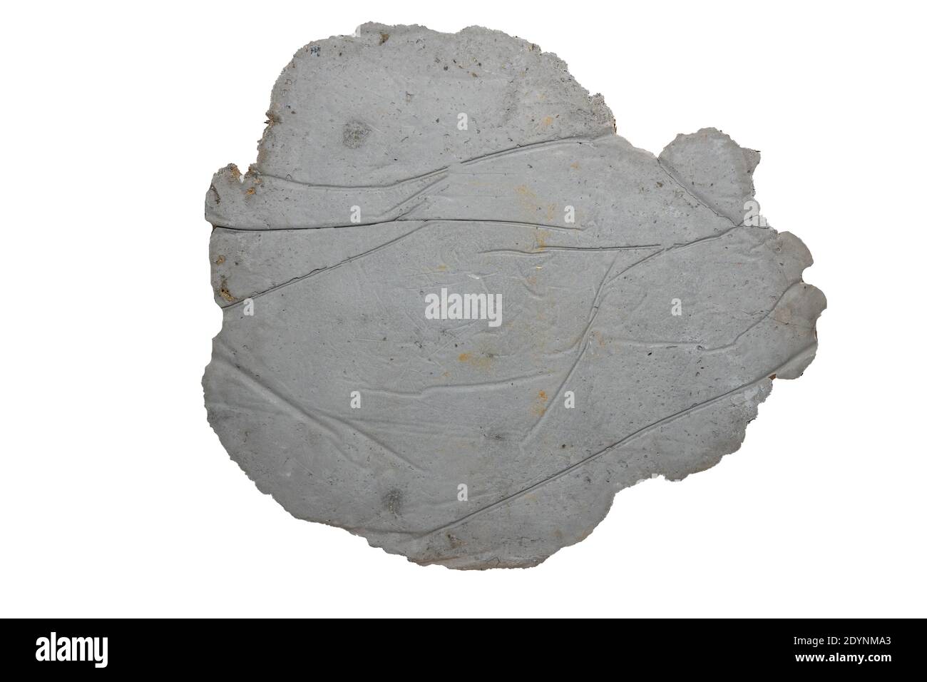 Texture concrete pavement sidewalk Cut Out Stock Images & Pictures - Alamy