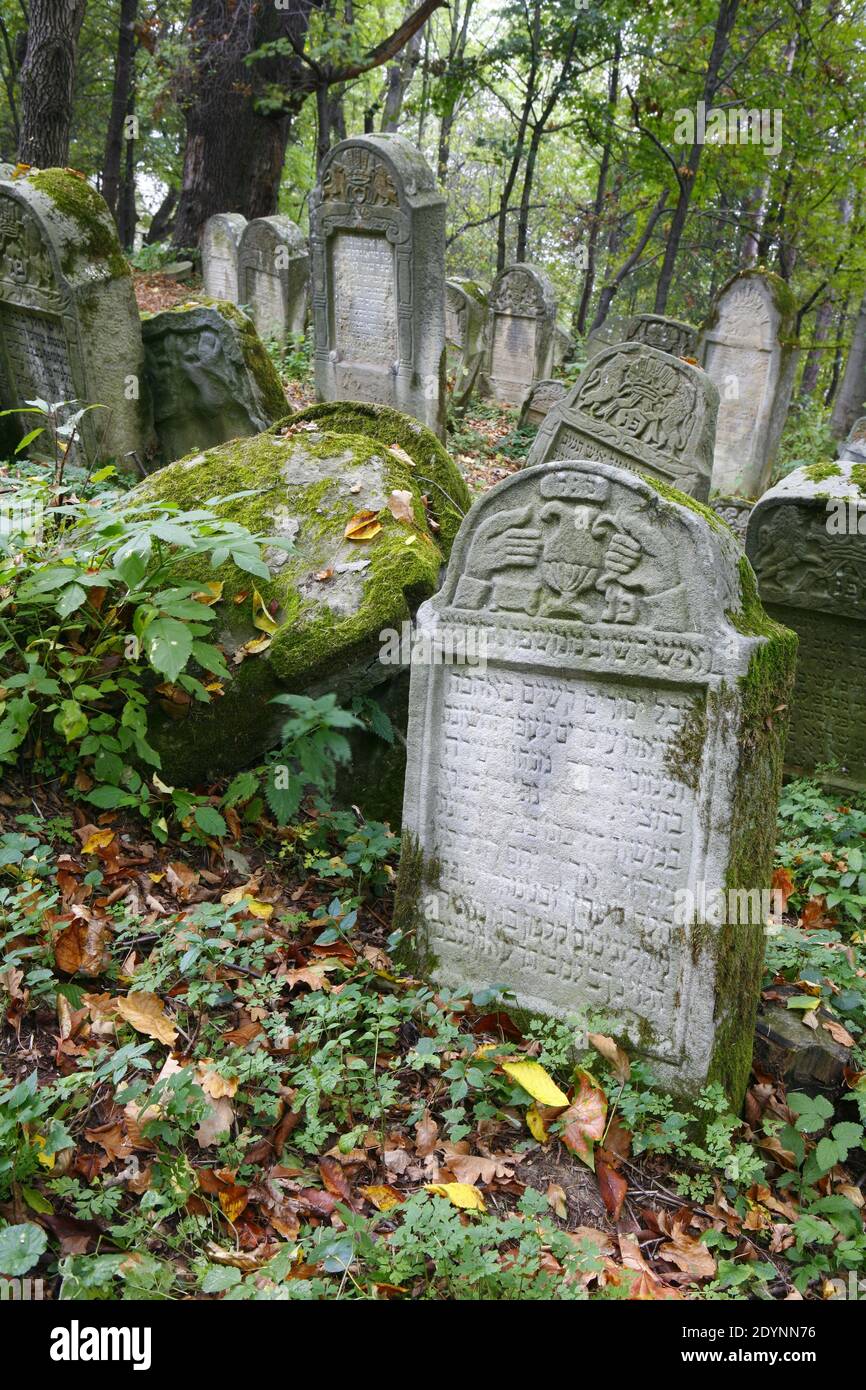 Poland, Lesko, Jewish cemetery Stock Photo - Alamy