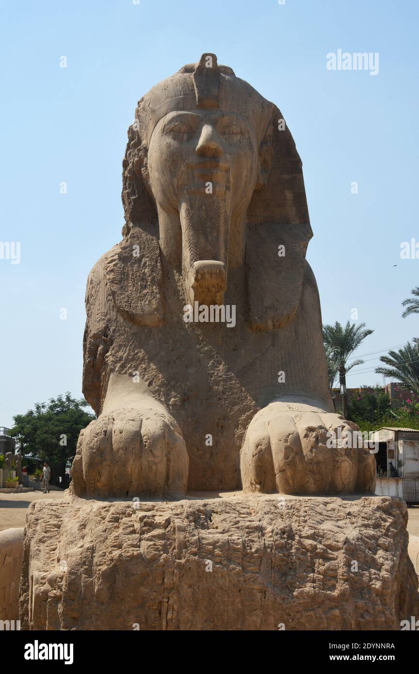 Sphinx at Mit Rahina Museum, Egypt Stock Photo - Alamy
