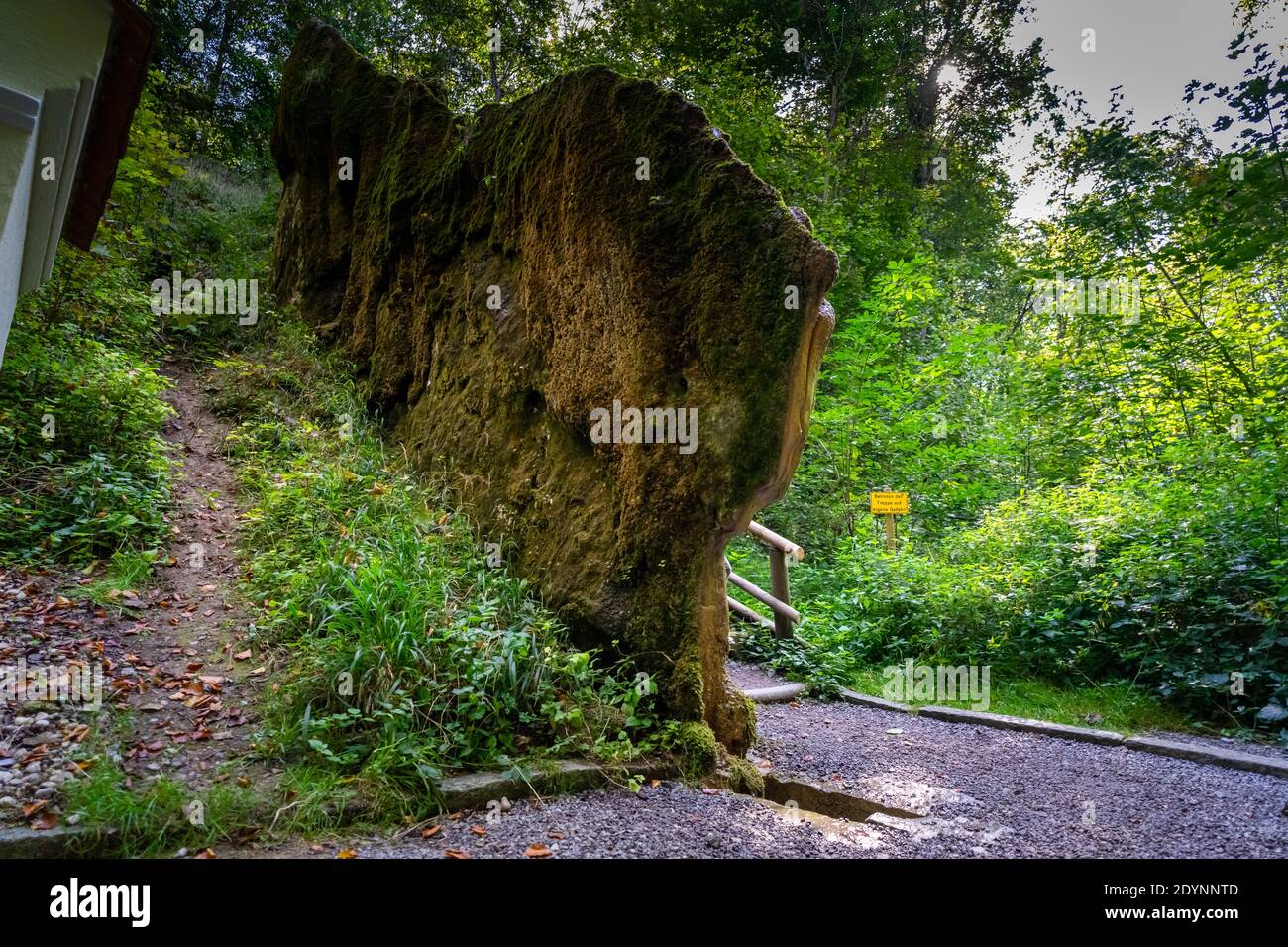 Growing Rock near Landau in Bavaria Germany Stock Photo - Alamy
