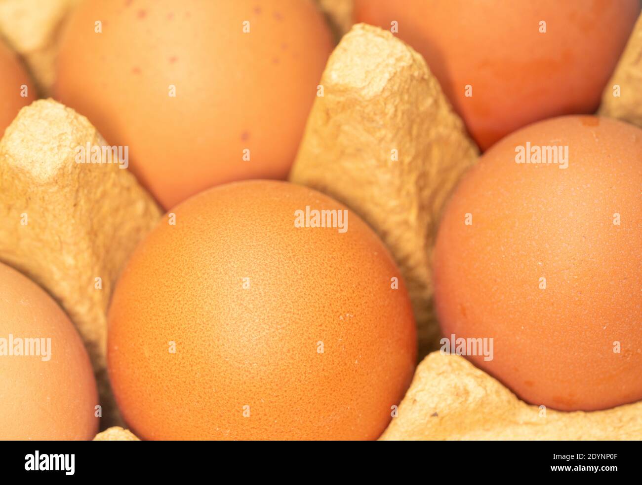 Protein shell hi-res stock photography and images - Alamy