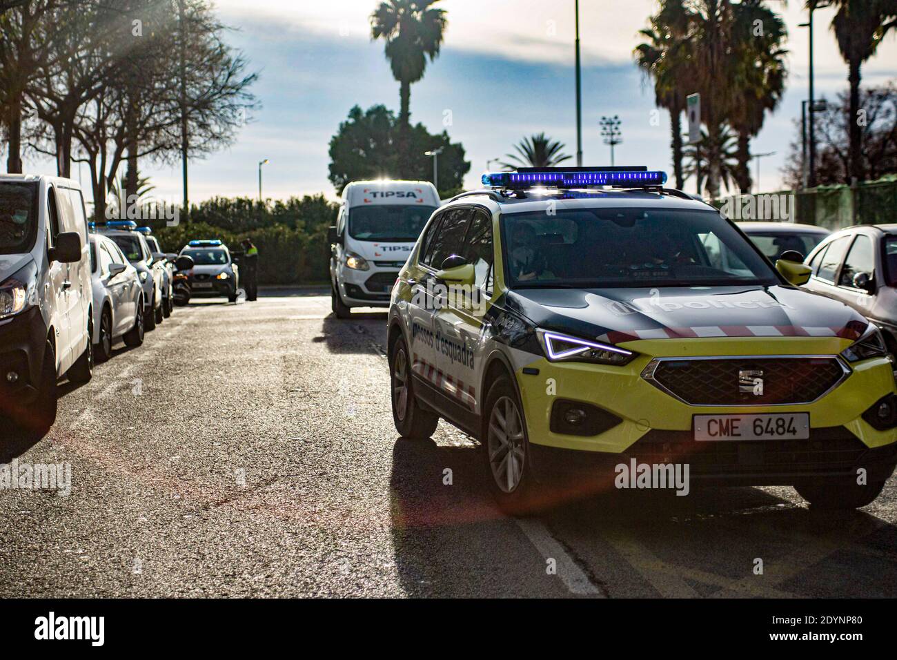 Tissue bank hi-res stock photography and images - Alamy