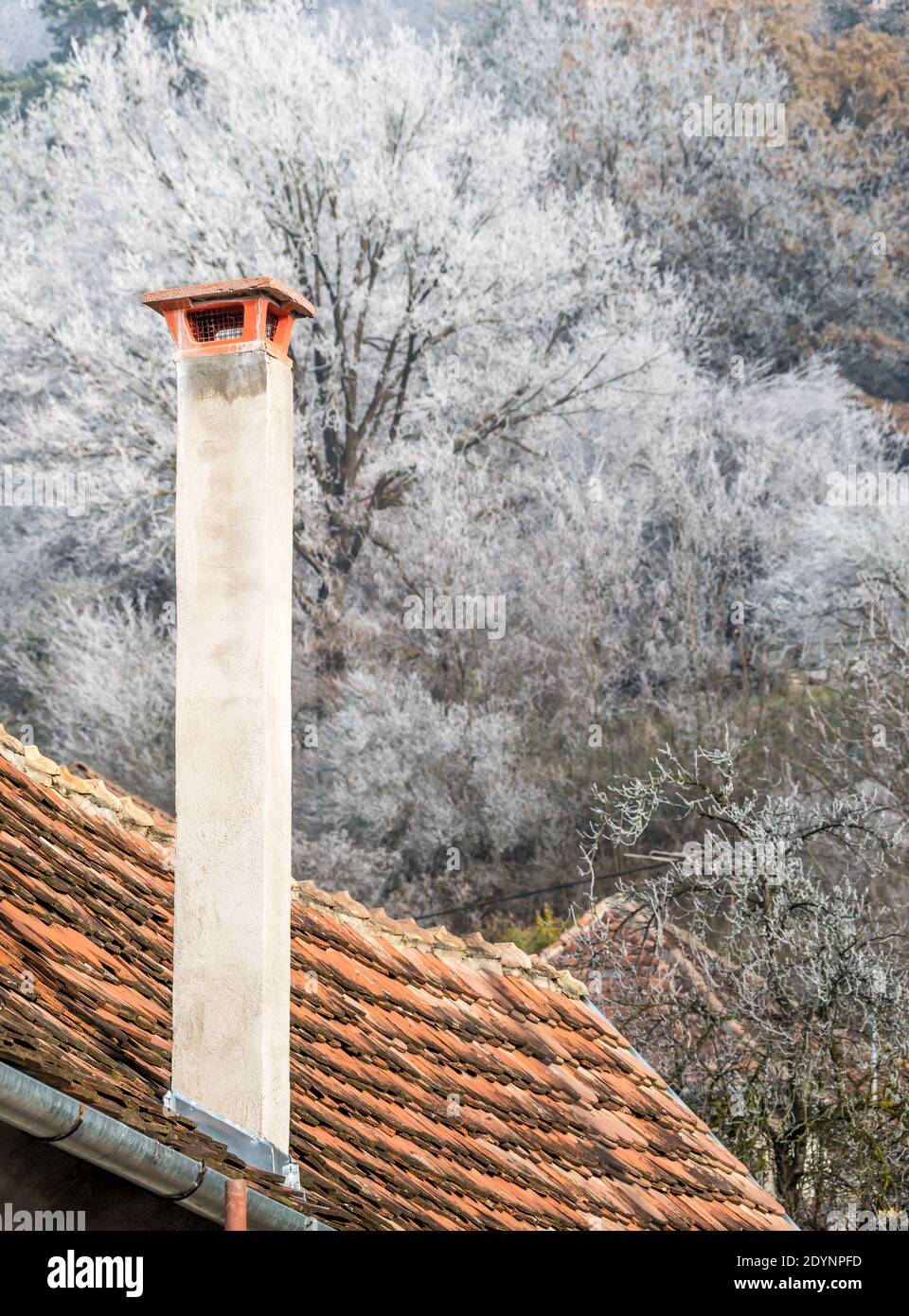 Tall chimney on the roof of a house with trees in the background Stock ...