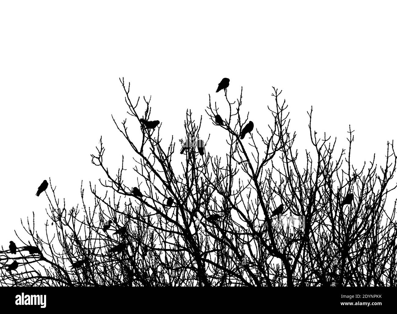 Silhouette of a tree with birds on the branches Stock Photo - Alamy