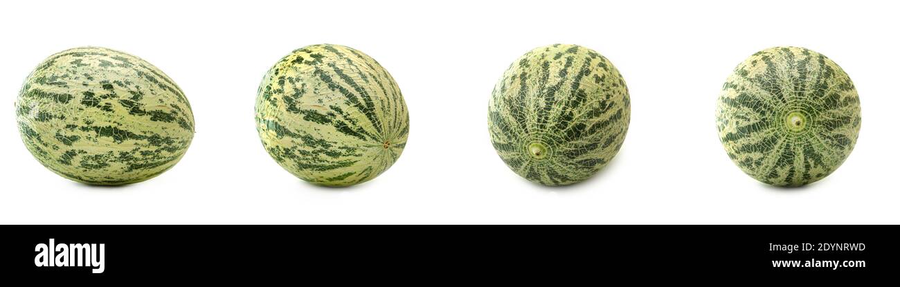 Striped melon on a white background. The unusual coloring of the melon ...