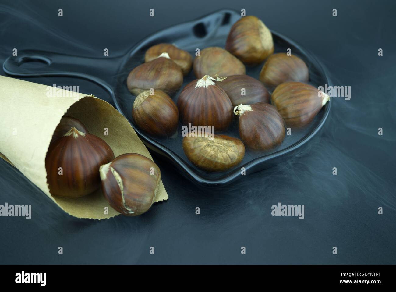 Cone shaped shell hi-res stock photography and images - Alamy