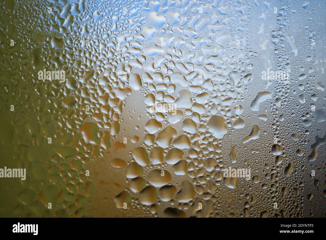 Condensation with beaded moisture droplets on the outside of a cold ...