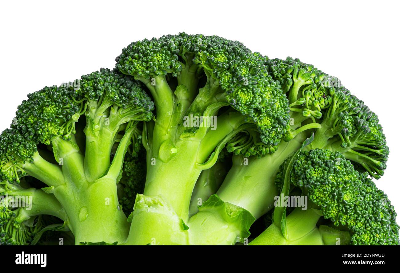 Broccoli on a white background. High quality photo Stock Photo - Alamy