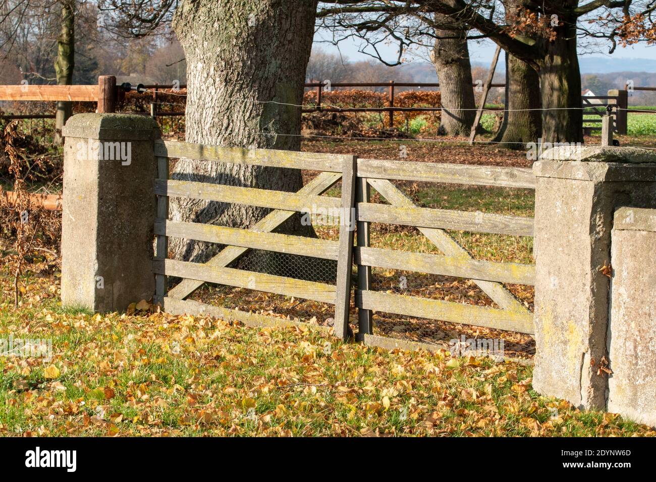 Old oak gate hi-res stock photography and images - Alamy