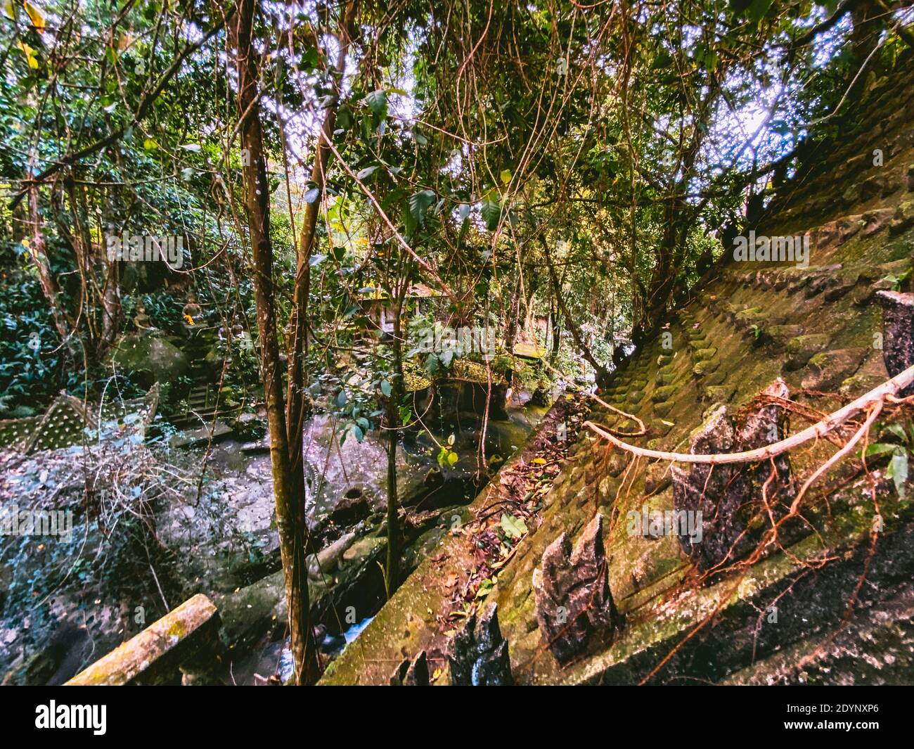 Secret Buddha Magic Garden in koh Samui, Thailand Stock Photo - Alamy