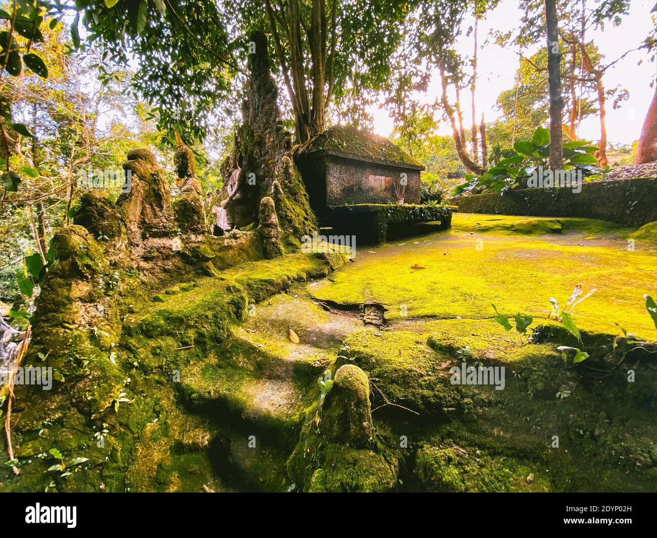 The Magic Garden High Resolution Stock Photography and Images - Alamy