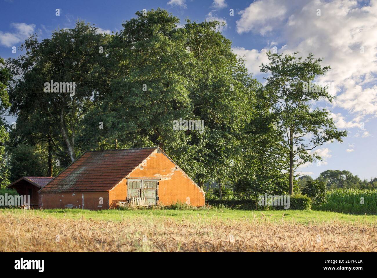 The barn is in East Frisia on the flat land. Over the years the ...