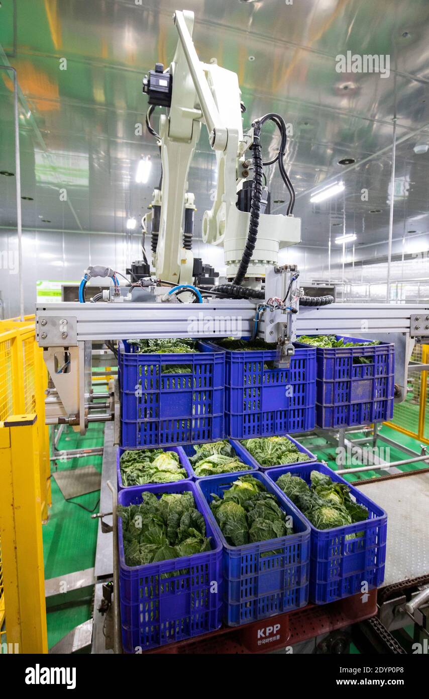 27 December 2020 - Iksan, South Korea: (Photo taken by Dec, 17) Robot ...