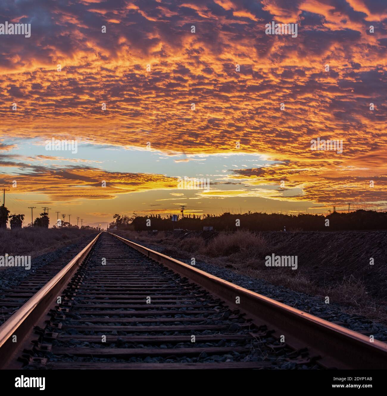 Train tracks into the horizon hi-res stock photography and images - Alamy