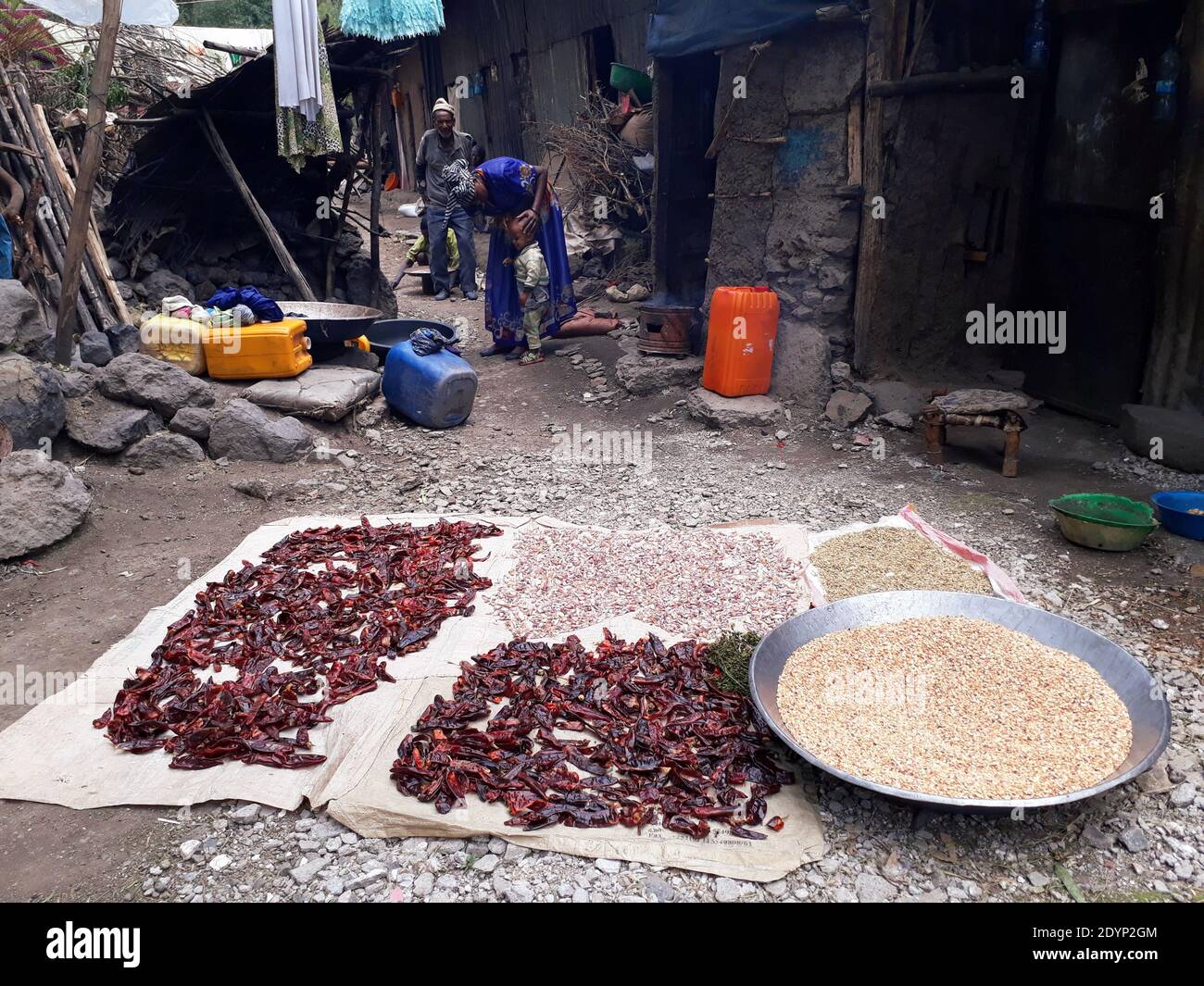 Lalibela-Ethiopia: April 12, 2019: Red chili peppers and teff seeds ...