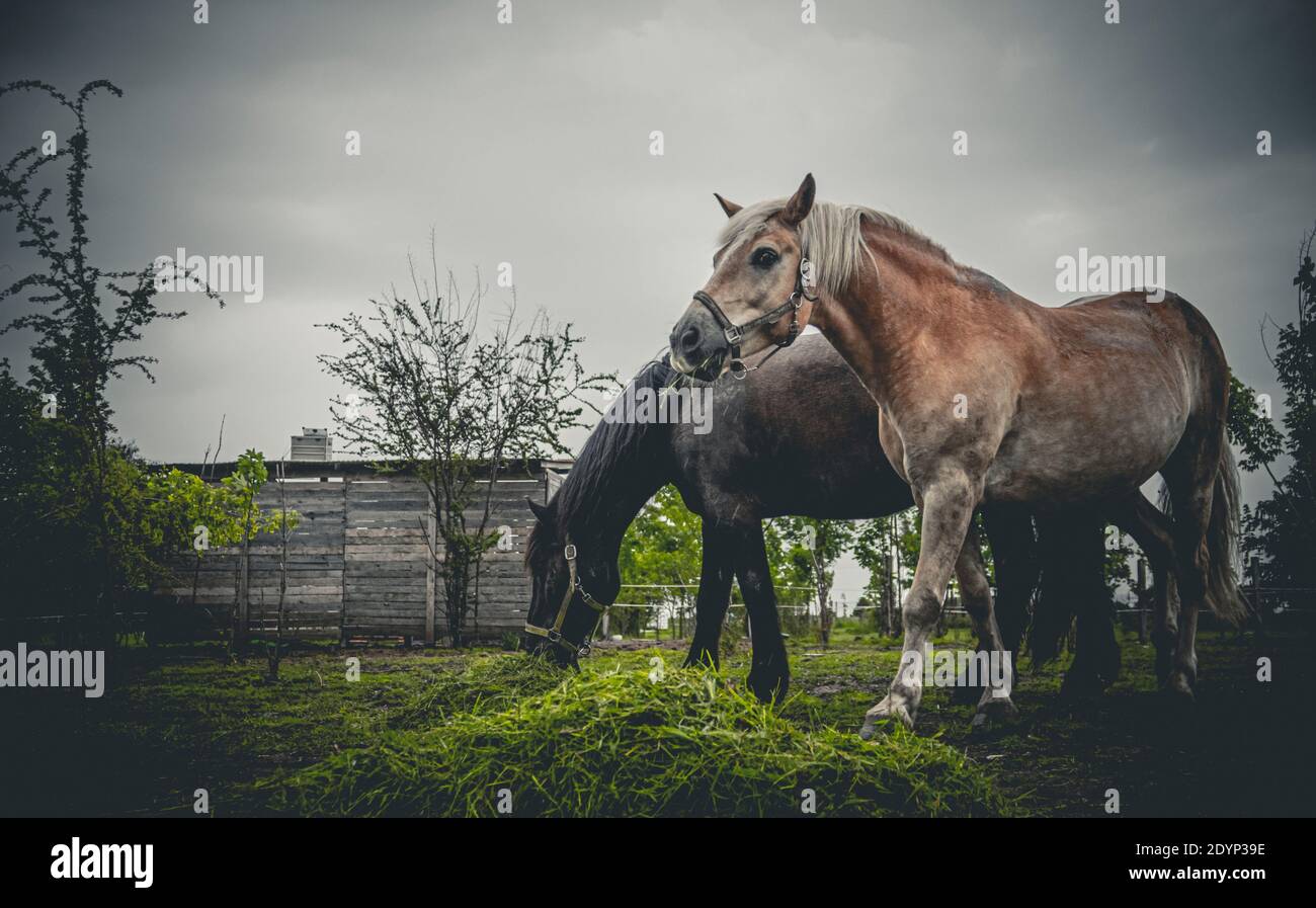 Holiday brochure sad hi-res stock photography and images - Alamy