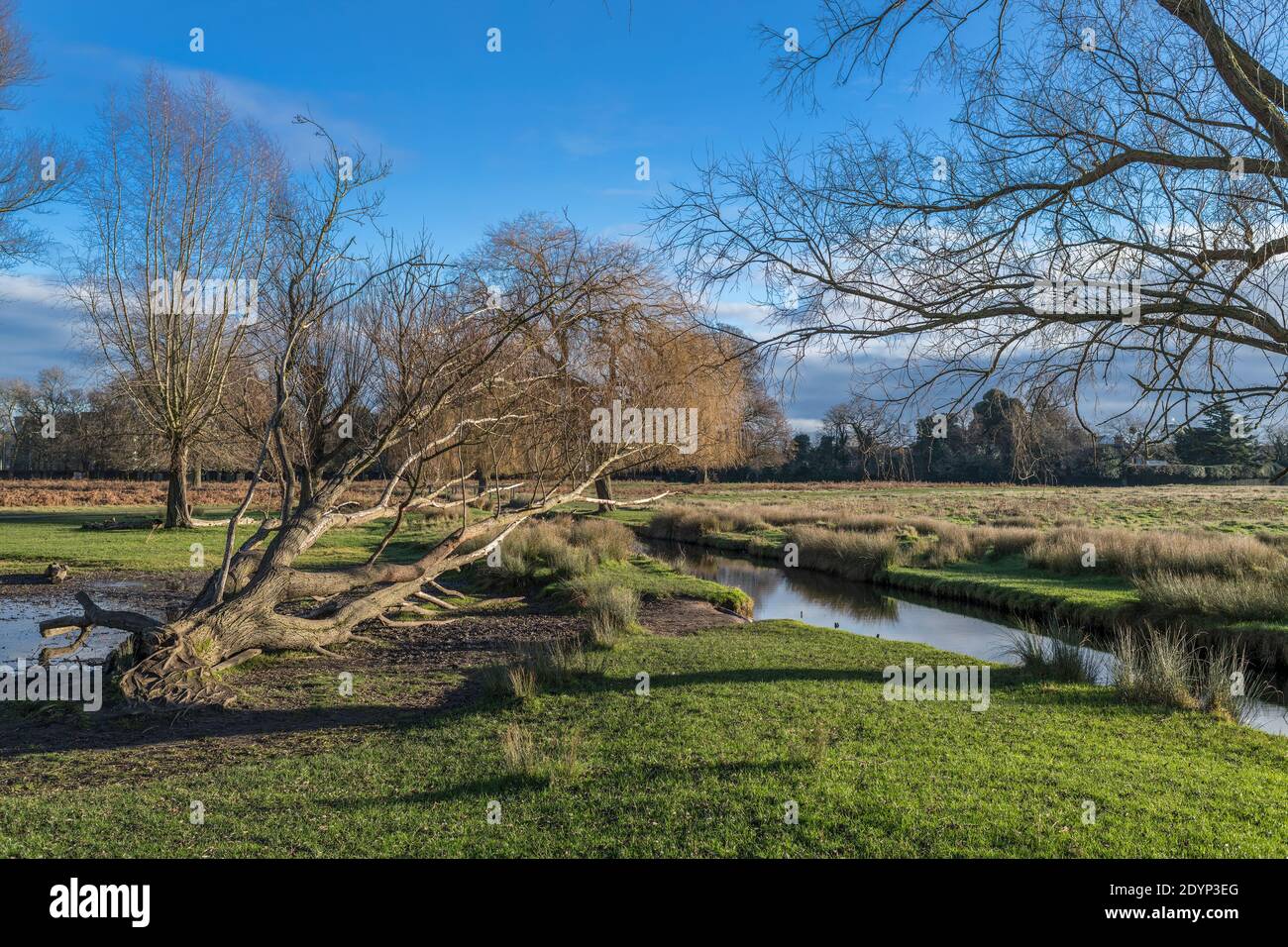 Shiny day hi-res stock photography and images - Alamy