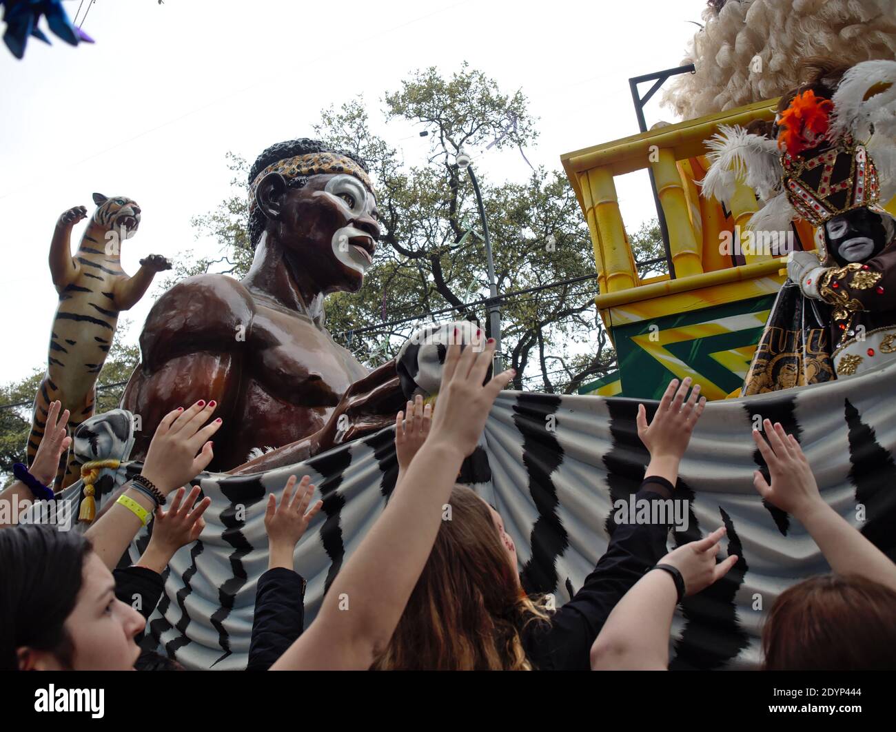 New Orleans, Louisiana, USA - February 25, 2020: People celebrate Mardi ...